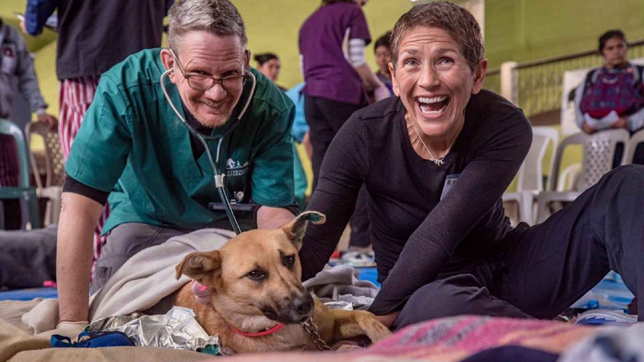 The Vision | Veterinarians International