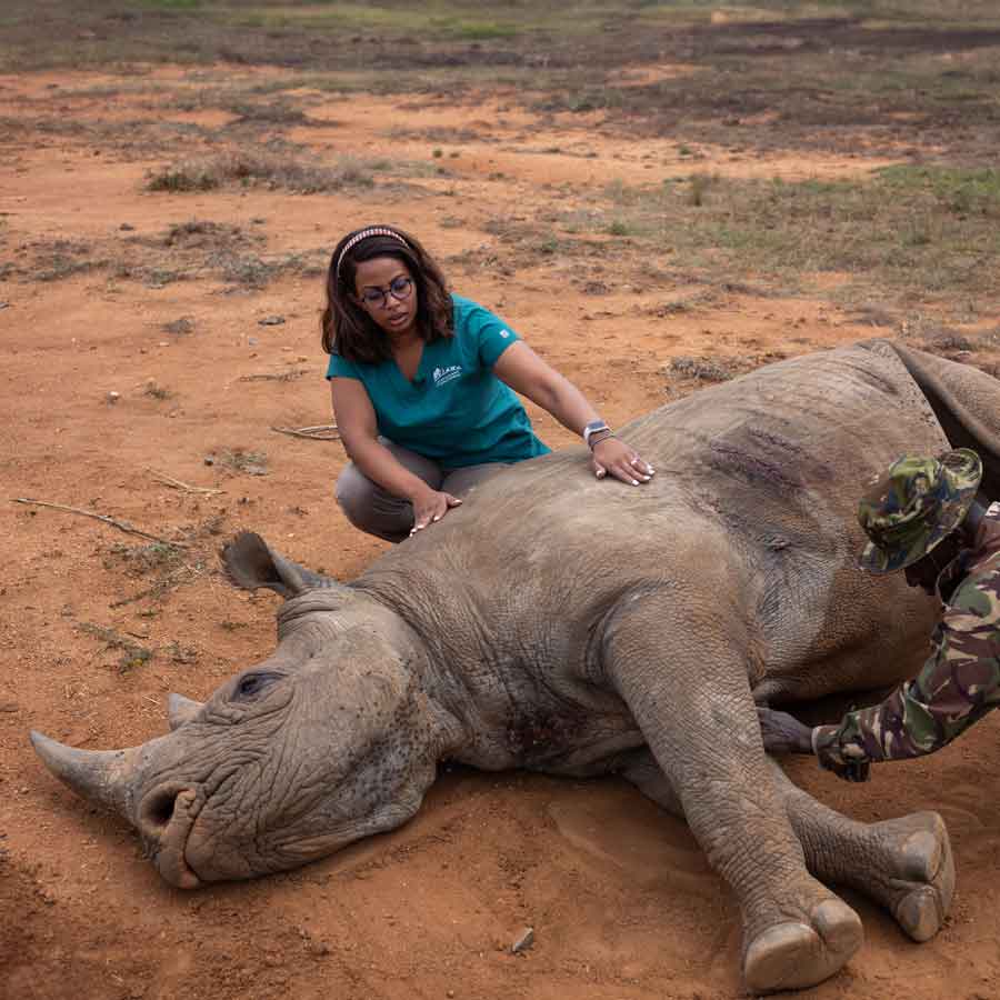 Mobile Vet Clinic: Kenya Vetcare Anywhere | Veterinarians International