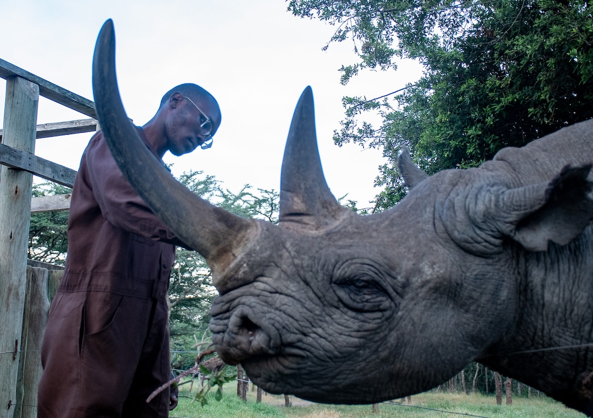 Year one of VI's Kenya Vet Training Program was a Huge Success ...